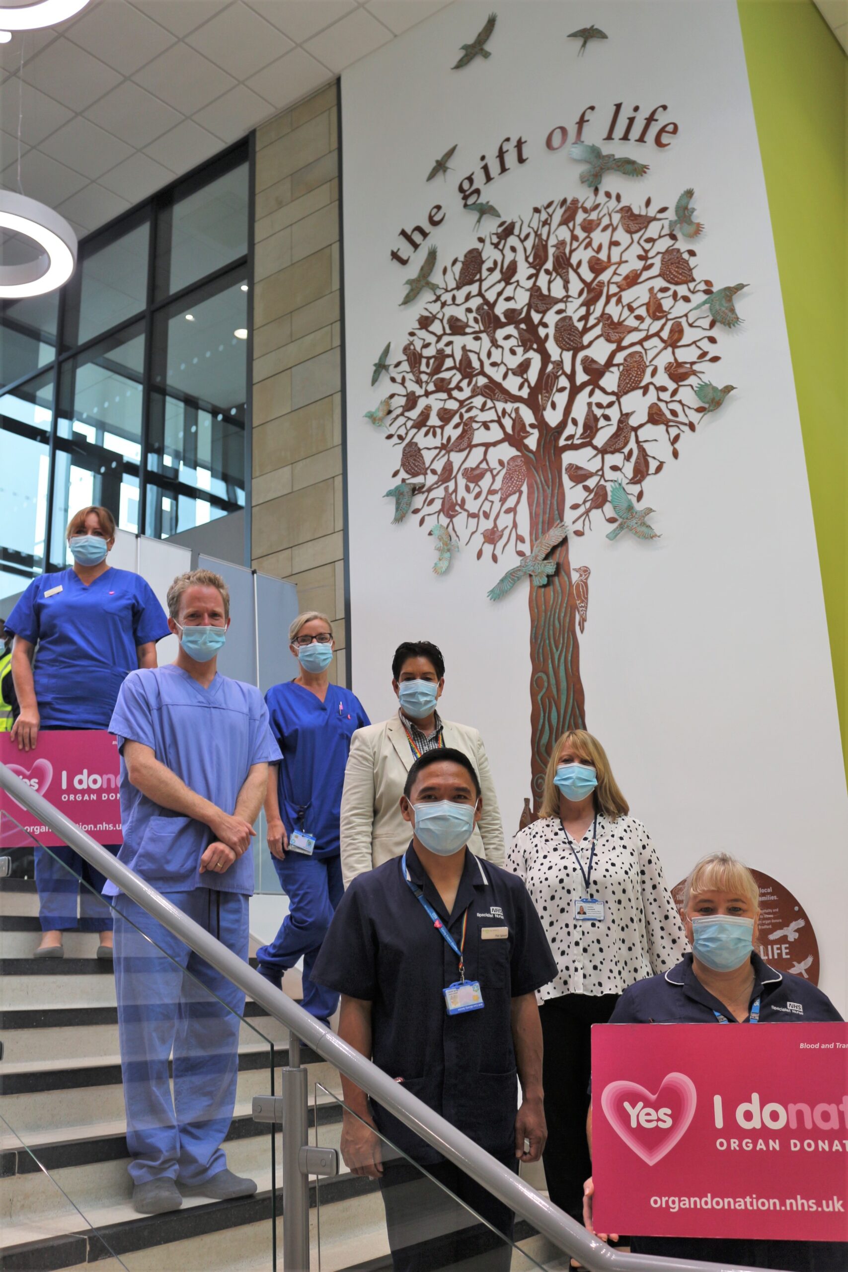 Memorial tree says ‘thank you’ to those who gave the gift of life ...