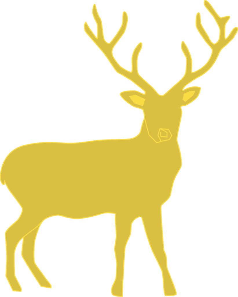 Ward 30 – Bradford Teaching Hospitals NHS Foundation Trust