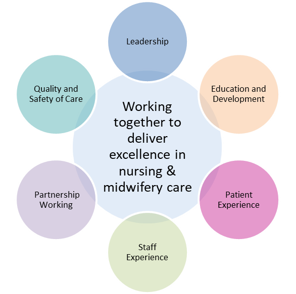 Nursing And Midwifery Excellence Bradford Teaching Hospitals Nhs Foundation Trust